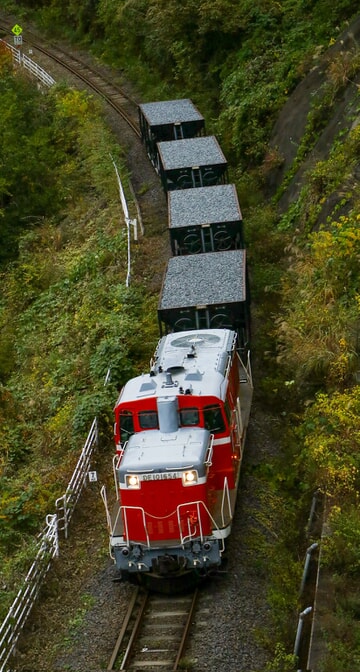 【JR東】DE10-1654牽引西金工臨運転 |2nd-train鉄道ニュース