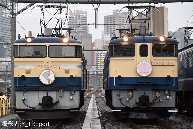 【JR東】「青い名機、再び。」(昼の部)撮影会開催 |2nd-train鉄道ニュース