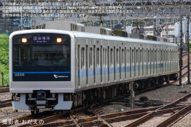 【小田急】3000形3255F(3255×6)団体専用列車 |2nd-train鉄道ニュース